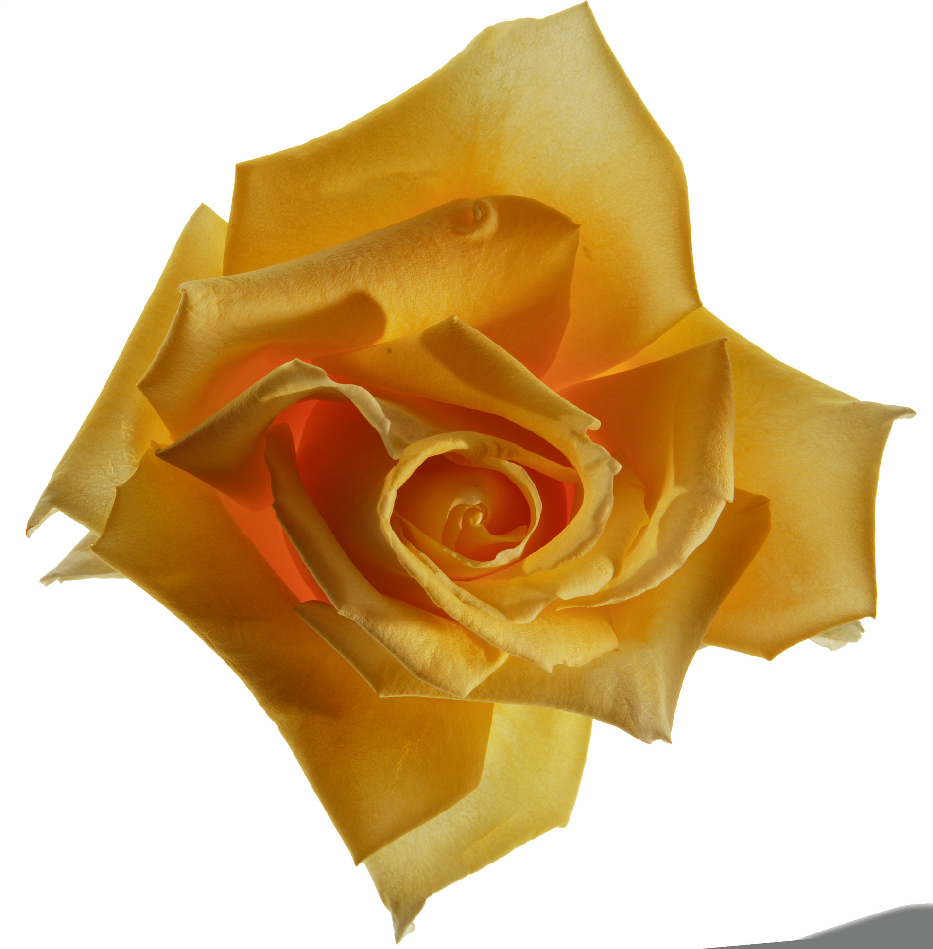 Quintessence Lab, créations olfactives - Quintessence Lab